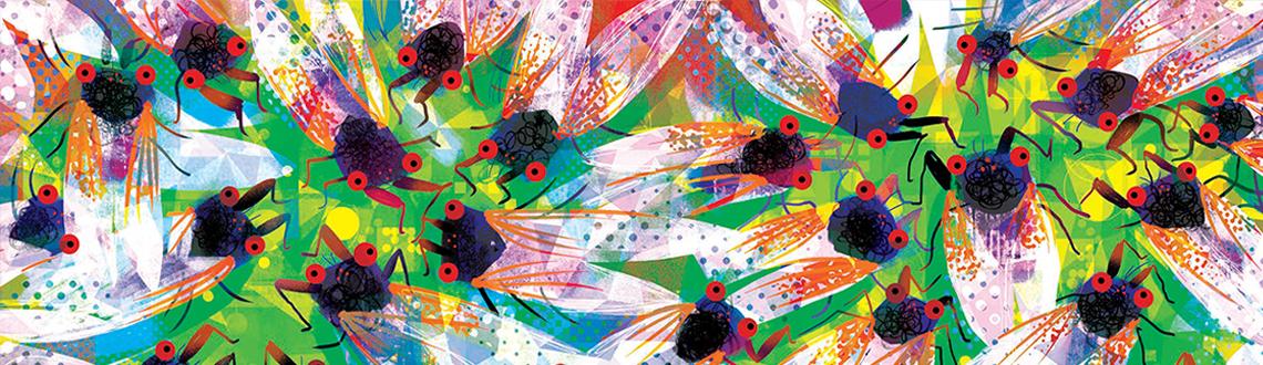 Gareth Lucas - Albert Whitman & Co | Kids Corner